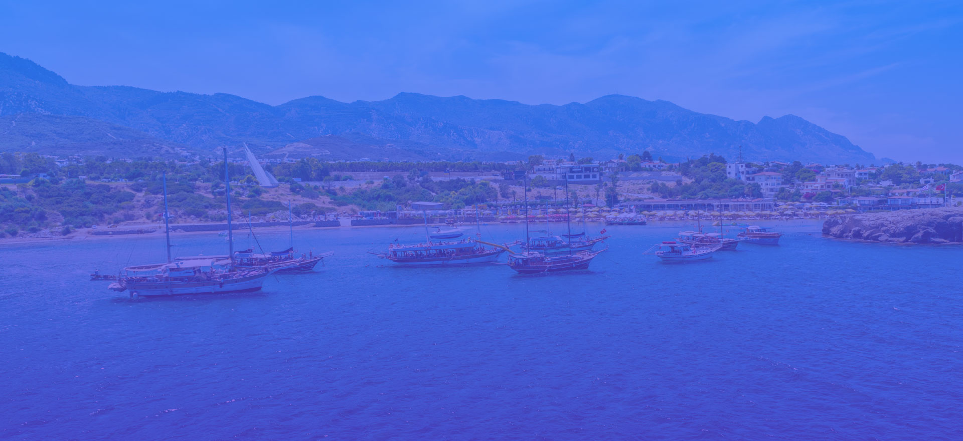 Home - Global Health Forum 2024