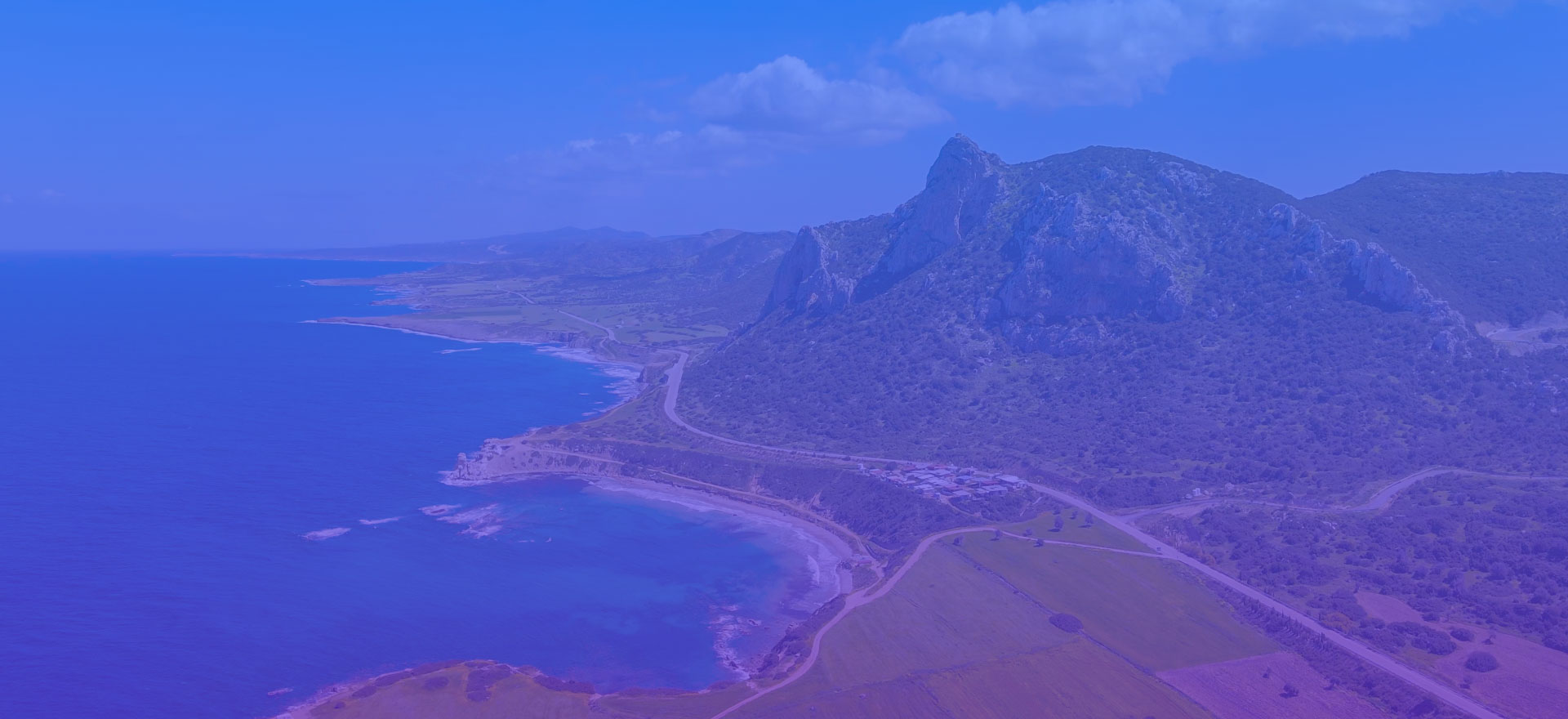 Home - Global Health Forum 2024